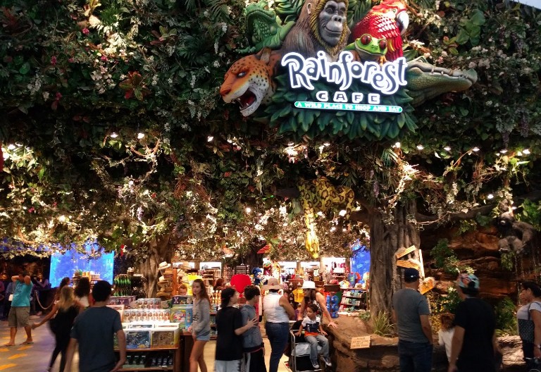 Sawgrass Mills | Rainforest Cafe